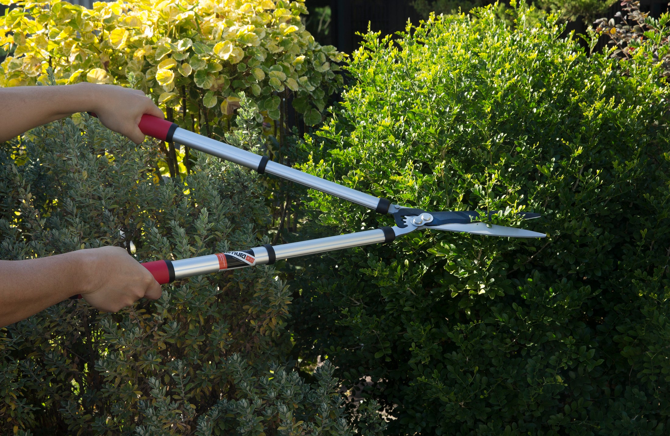 Kimura Pro Telescopic Hedge Shears, Japanese SK5 Steel Blades, Patente